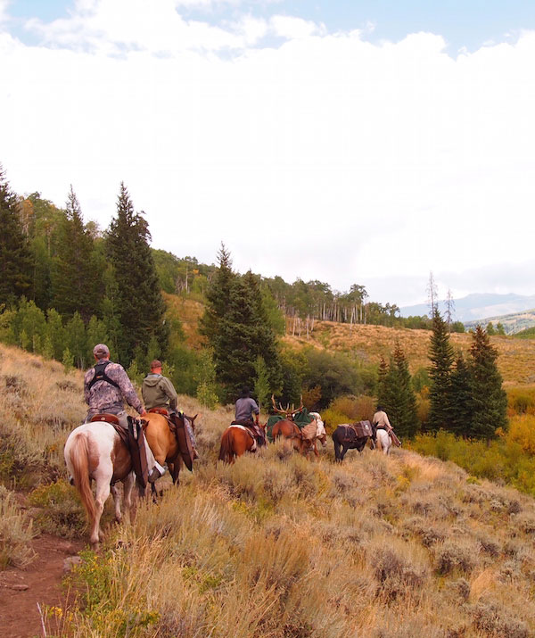 Selecting An Elk Hunting Outfitter | Guidefitter