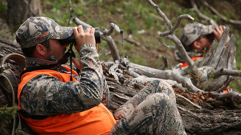 Spring Bear Hunting Necessities - News And Advice | Guidefitter