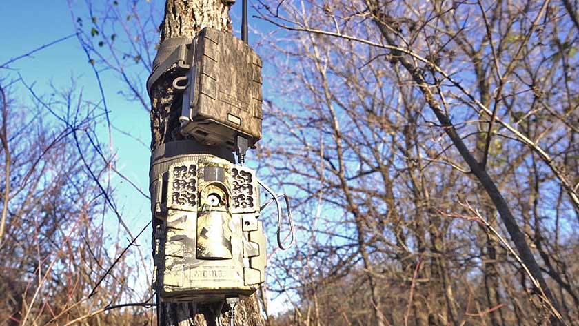 Moultrie Trail Camera Wireless Field Modem - Videos | Guidefitter