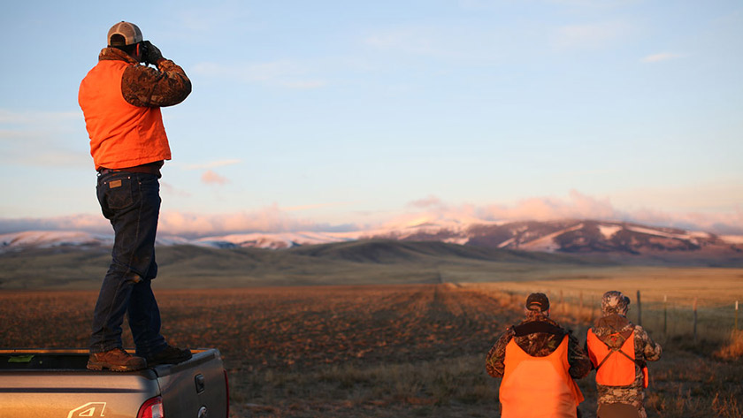 Guide/Hunter Clash: How To Still Be Successful - News An... | Guidefitter