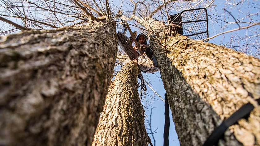 5 Places You Don't Want To Hang Your Deer Stands - News ... | Guidefitter