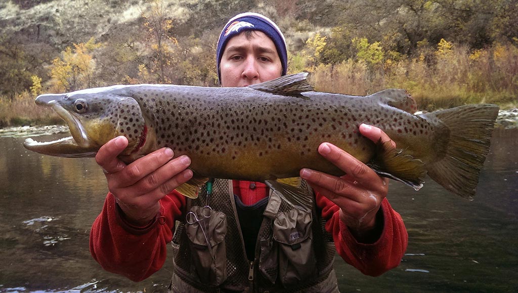 Fall Fly Fishing Guide | Guidefitter